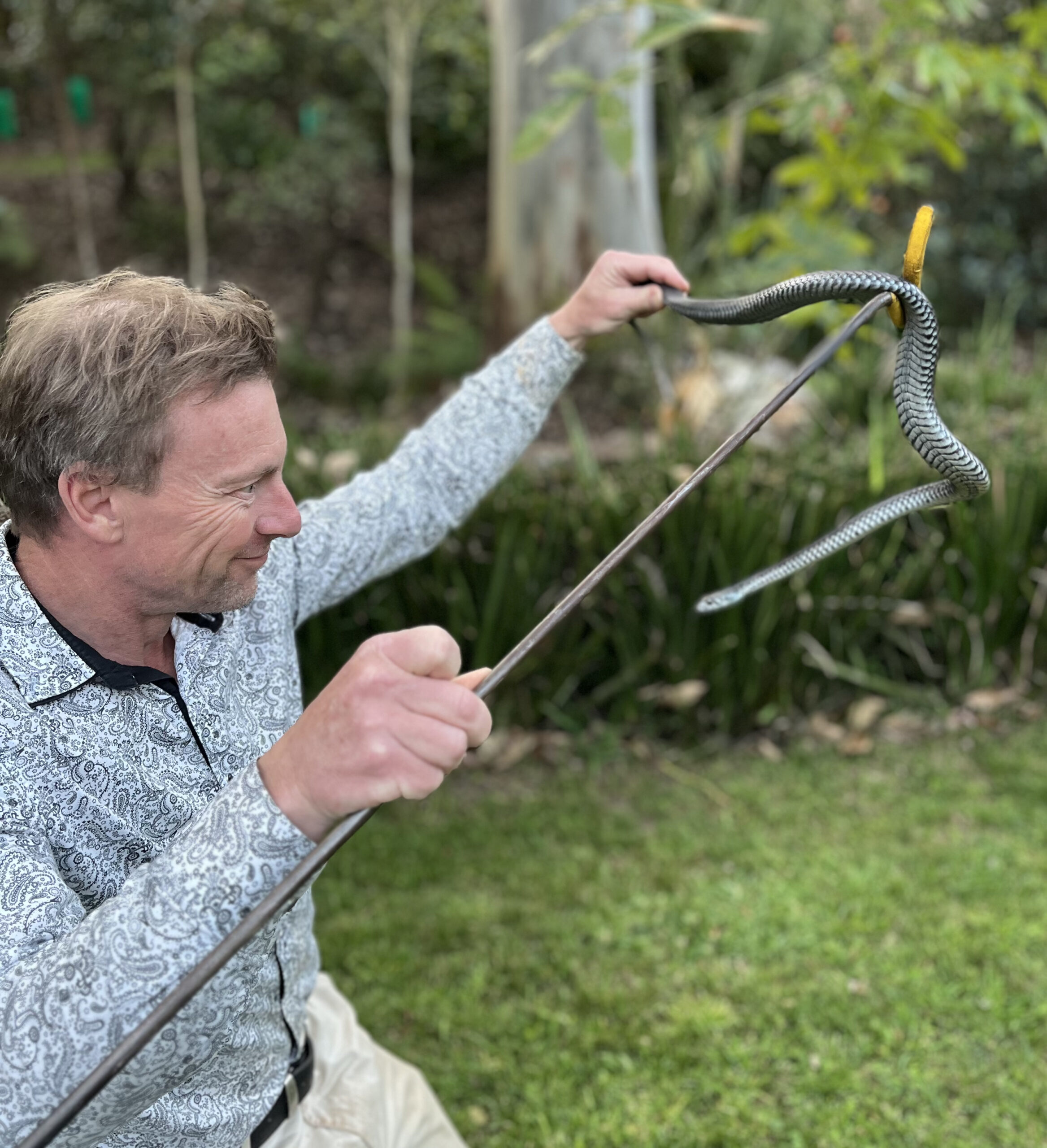 Snakes: I dare you to fall in love | Kangaroo Valley Voice